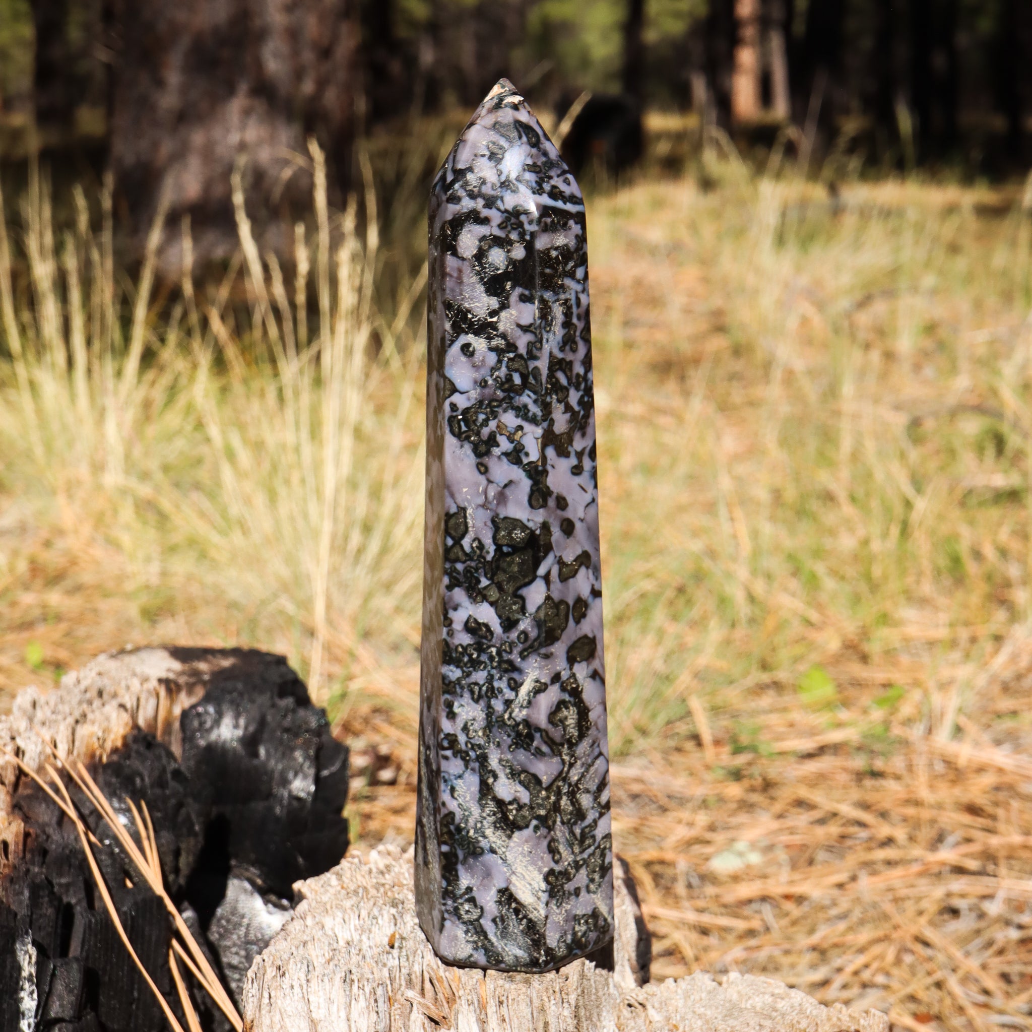 Mystic Merlinite Stone Point