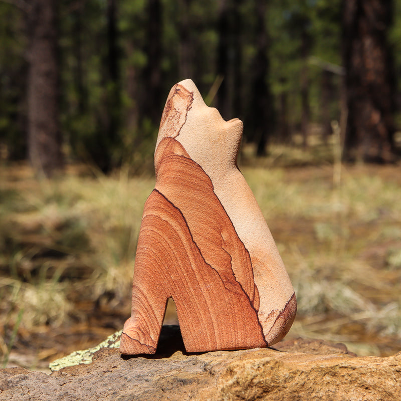 Picture Sandstone Howling Coyote